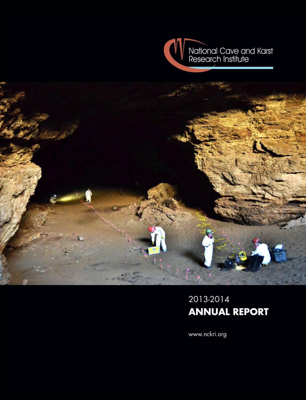Annual Reports Archive - National Cave and Karst Research Institute