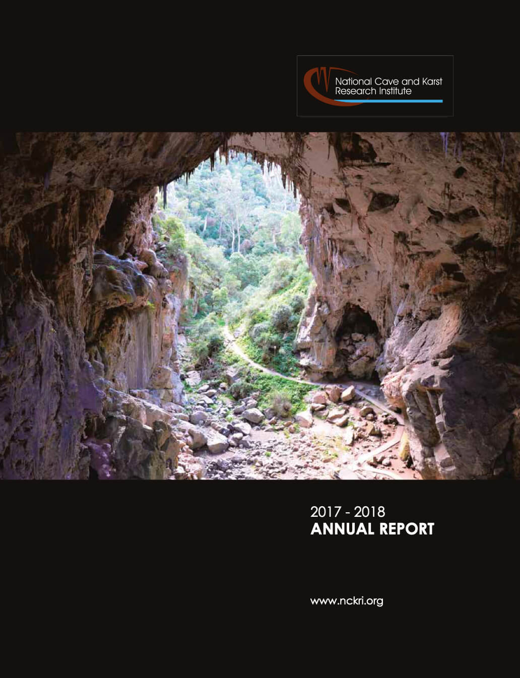 Annual Reports Archive - National Cave and Karst Research Institute