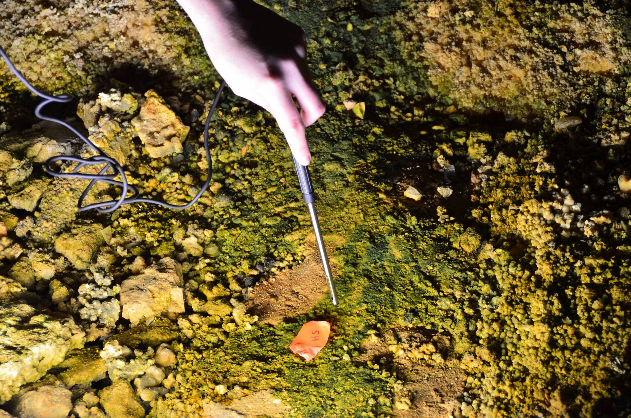 Student Research - National Cave and Karst Research Institute